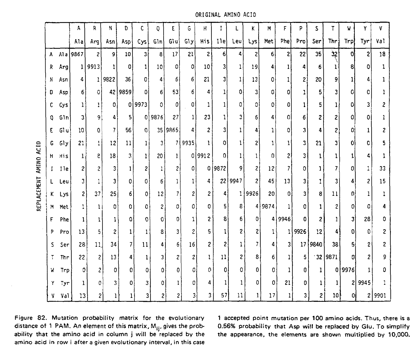 PAM Dayhoff Matrices Species And Gene Evolution PAM Dayhoff Matrices Species And Gene Evolution